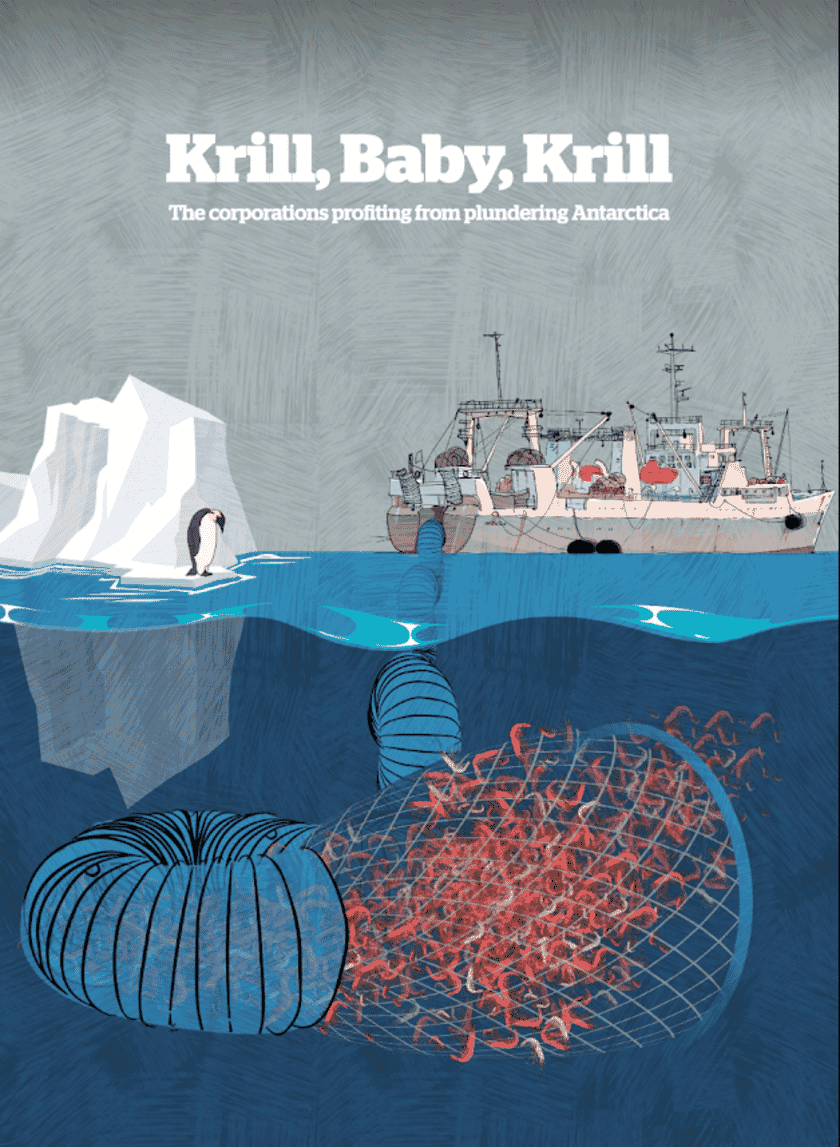 Is krill fishing accelerating climate change? | The Fish Site