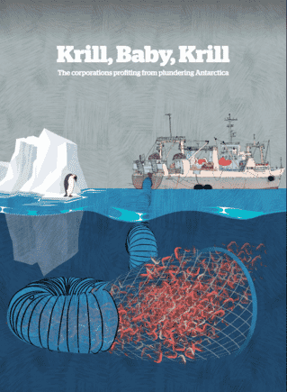 Is krill fishing accelerating climate change? | The Fish Site