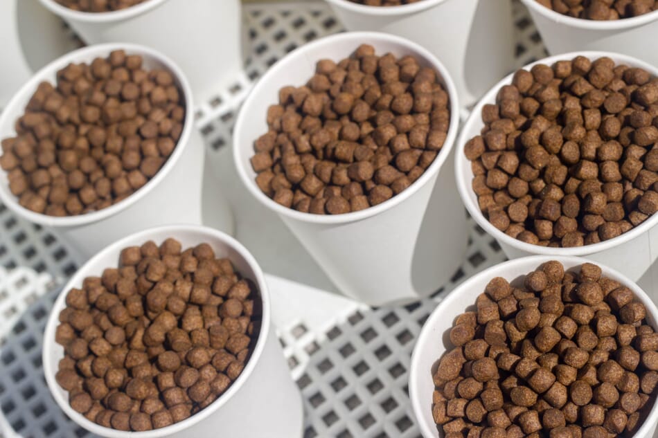 Principles of fish nutrition | The Fish Site