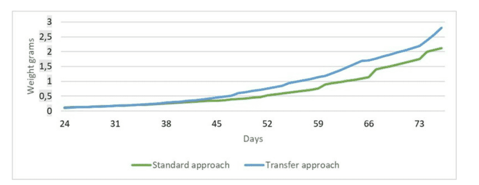 Why trout farmers should update their feeding strategies | The Fish Site