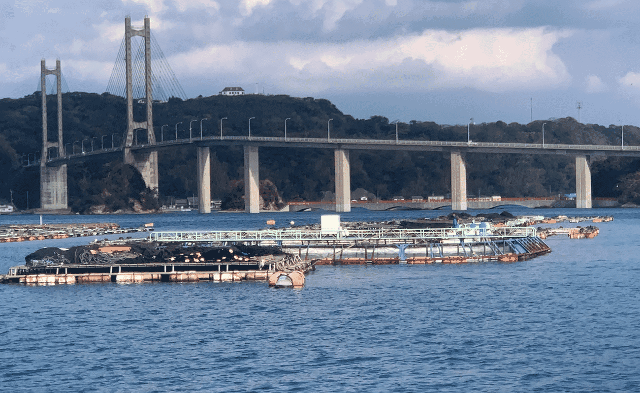 Umitron wins feed system contract with world’s largest fishery firm ...