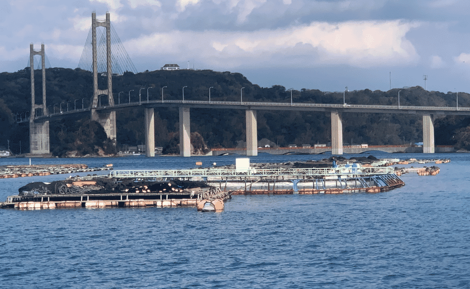 Umitron wins feed system contract with world’s largest fishery firm ...