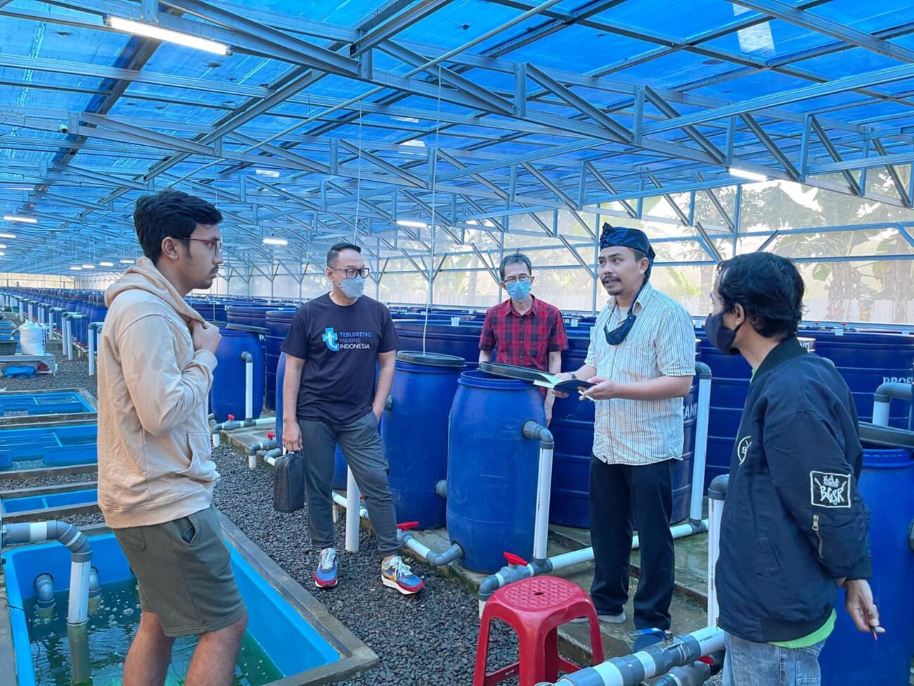 How homemade feed can slash costs and boost sustainability for ...