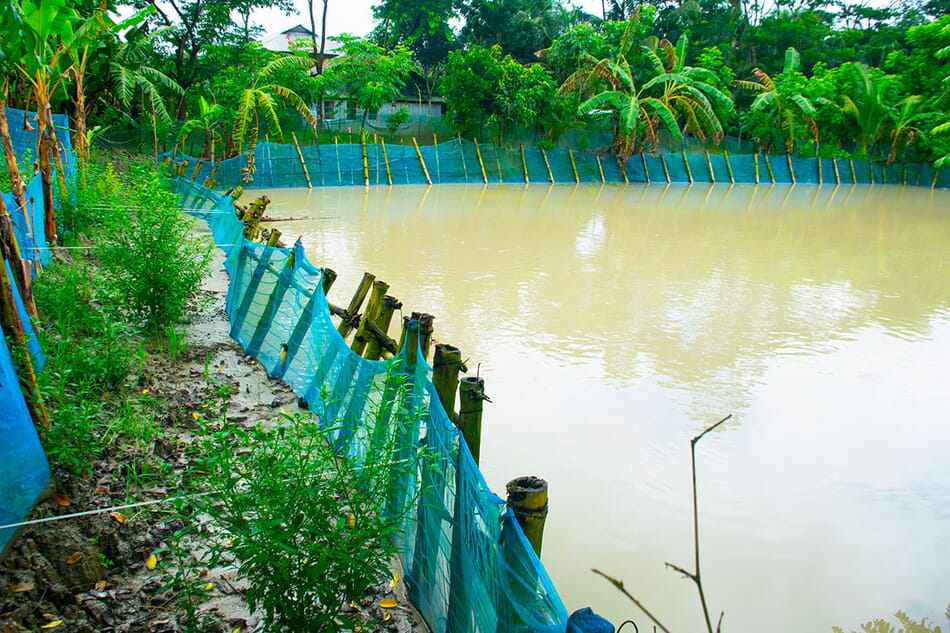 Cooking up a carp farming career | The Fish Site