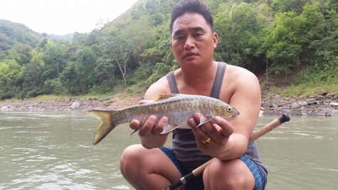 Aquaculture offers hope for Nagaland’s state fish | The Fish Site