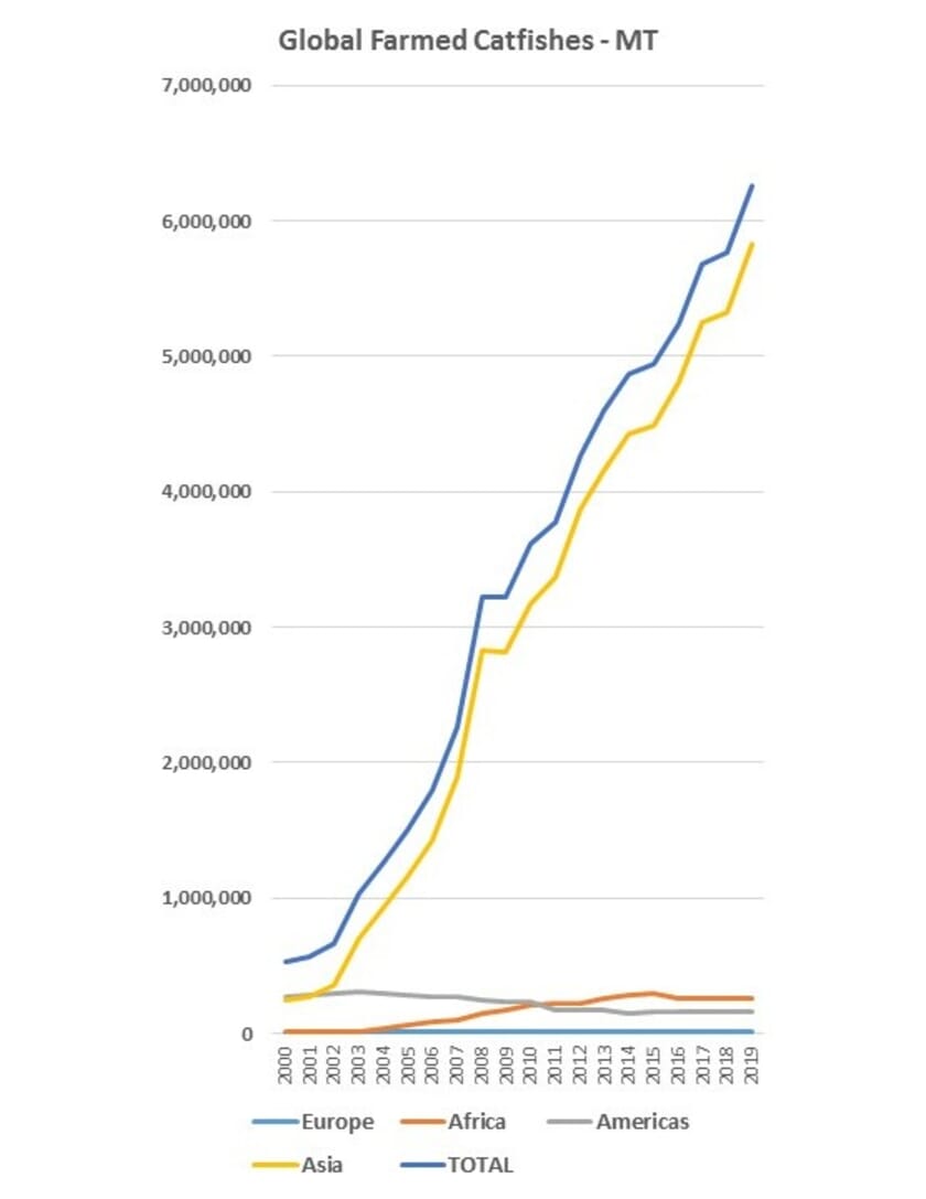 The rise and rise of global catfish culture | The Fish Site