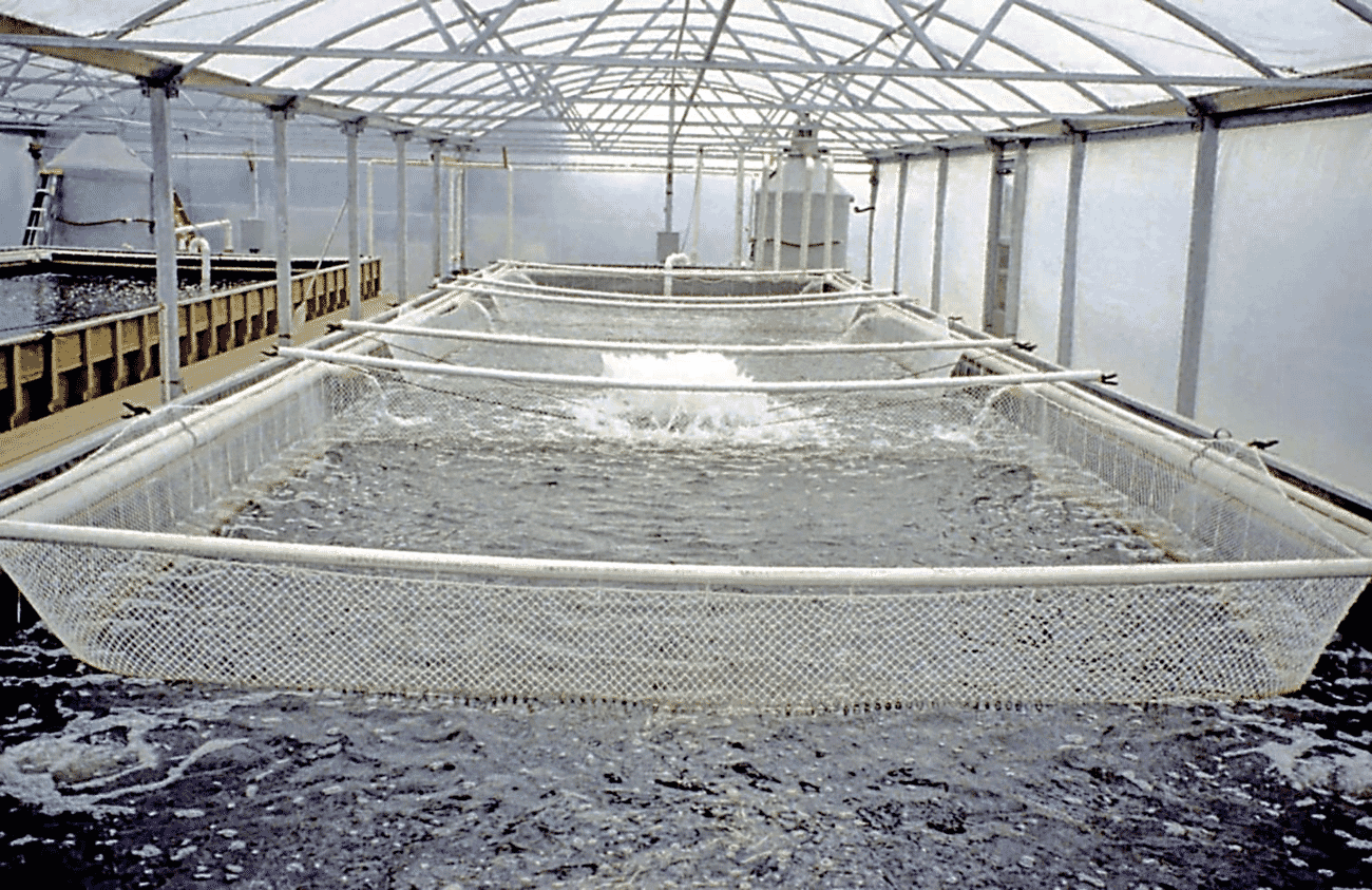 How stocking and harvesting strategies can improve your farm’s ...