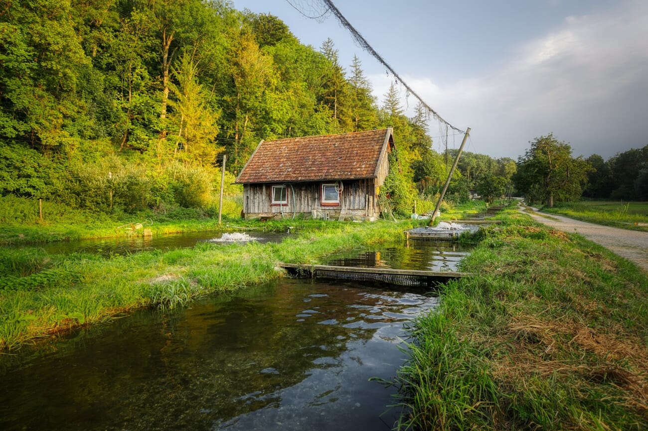 Nitrite: a guide to understanding and limiting its presence in both RAS ...