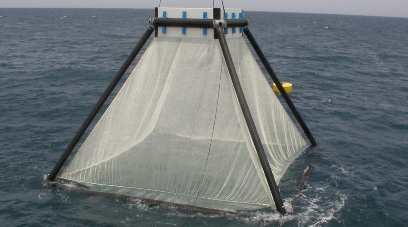 How US farmers helped fuel China’s aquaculture boom | The Fish Site
