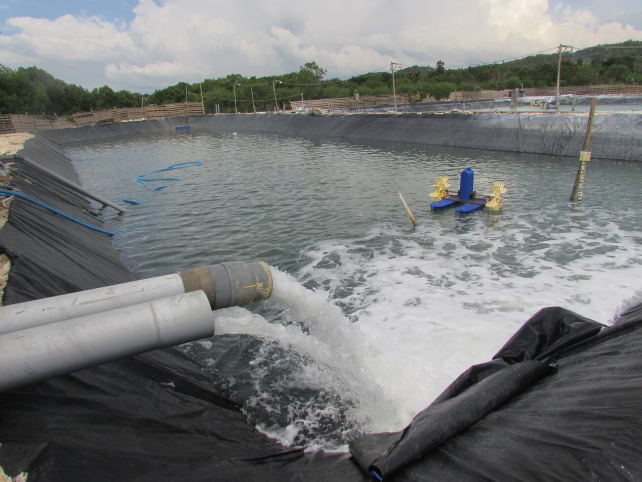 How to manage water effluent from shrimp farms | The Fish Site