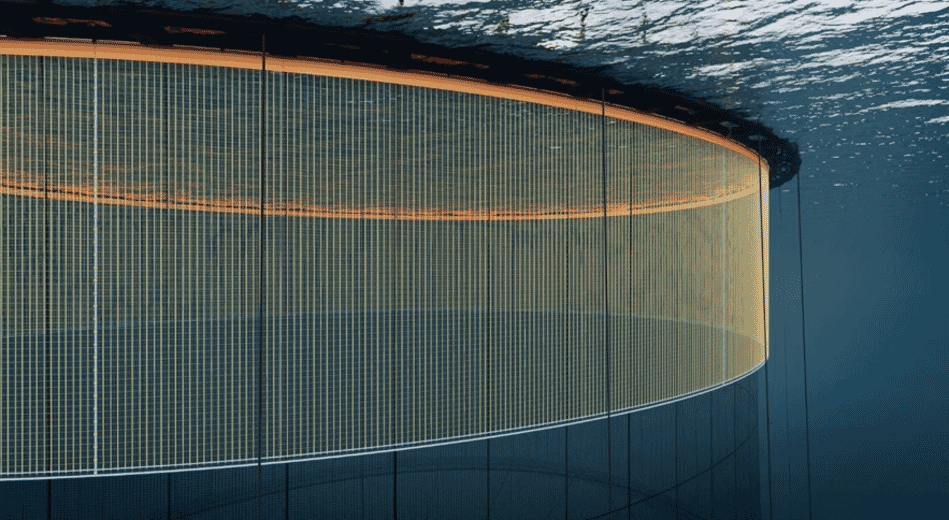 Harbor targets rapid expansion in salmon sector | The Fish Site