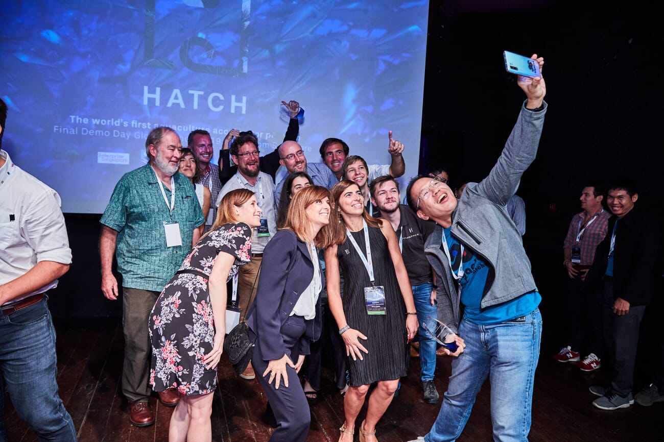 Hatch invites applications for its fifth accelerator programme | The ...
