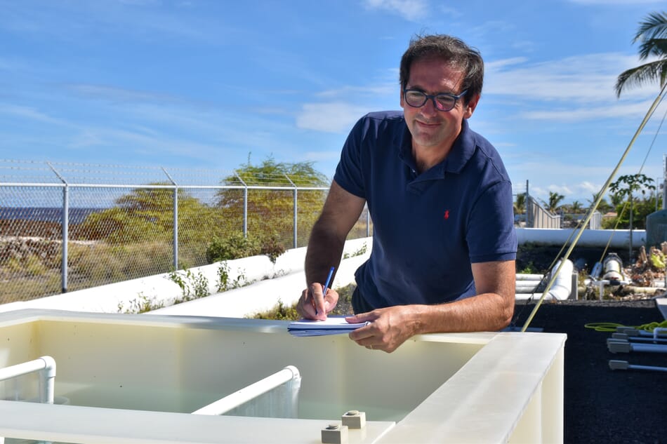 The oral vaccine that aims to tackle Streptococcus in tilapia | The ...