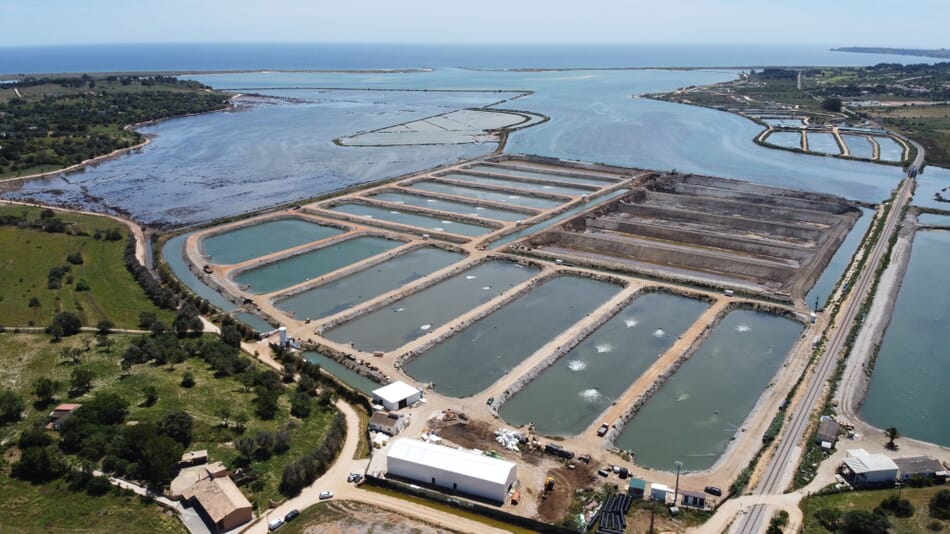 Giving fish farmers the edge in data management | The Fish Site