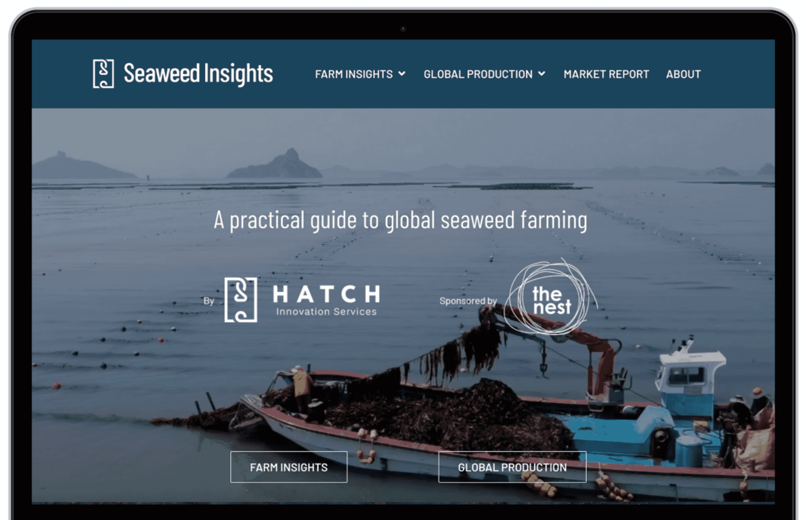 A ground-breaking insight into global seaweed production | The Fish Site