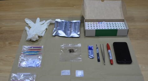 Rapid SRS detection kit launched | The Fish Site