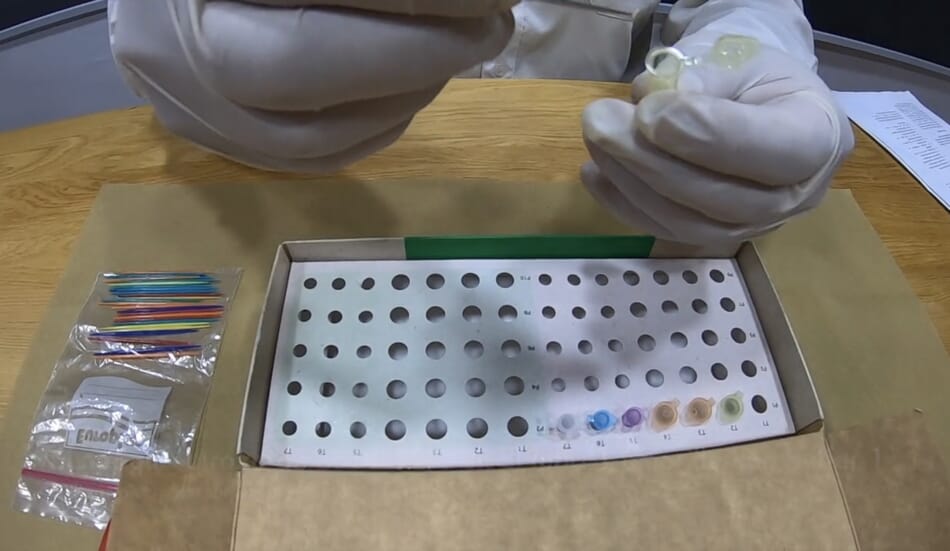 Rapid SRS detection kit launched | The Fish Site