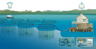 MSD snaps up Vaki from Pentair | The Fish Site