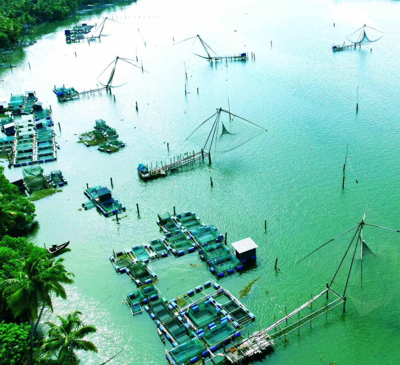 Ocean cage culture offers new possibilities for India’s coastal areas ...