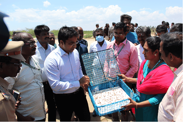 India’s CMFRI hosts release of hatchery-produced pearl oyster spat ...