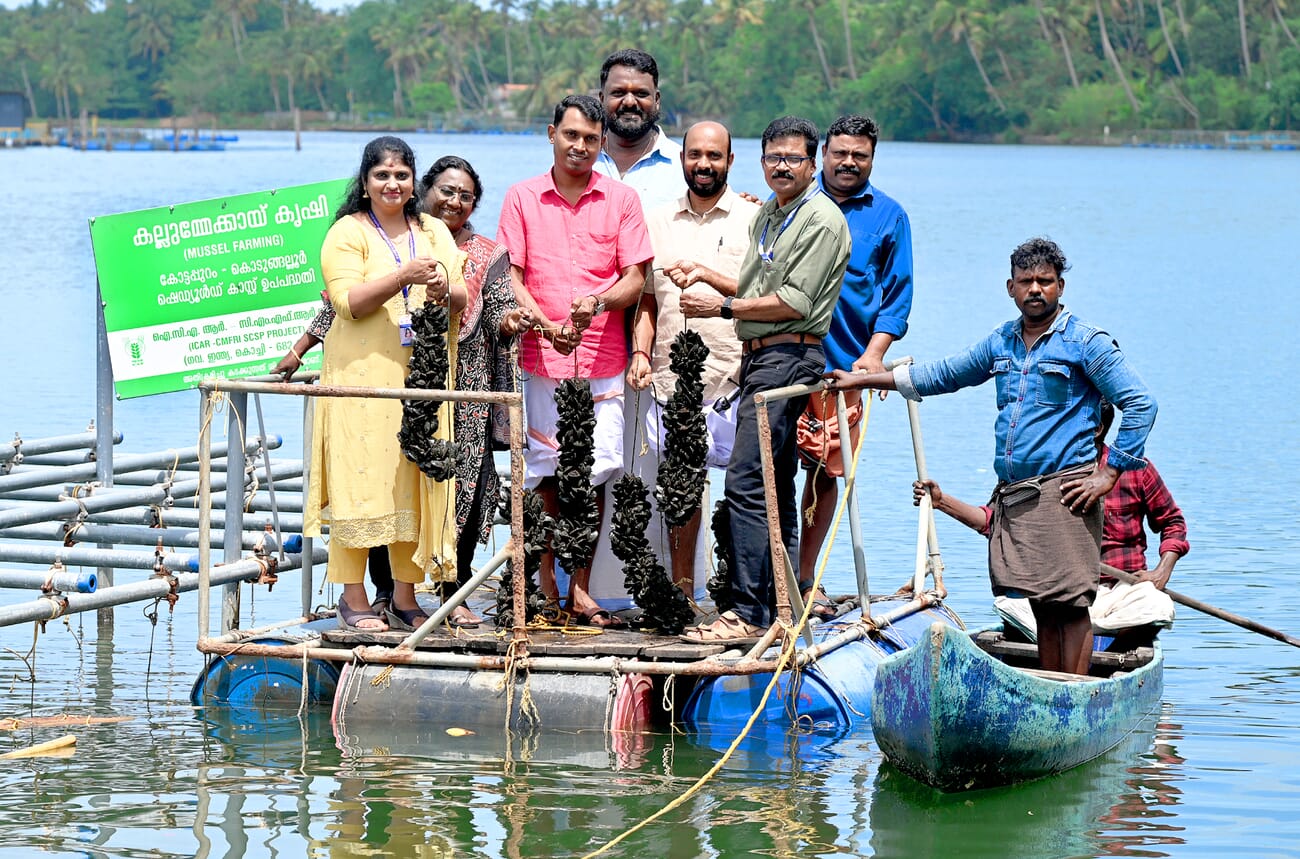Mussel farming empowers marginalised families in India | The Fish Site
