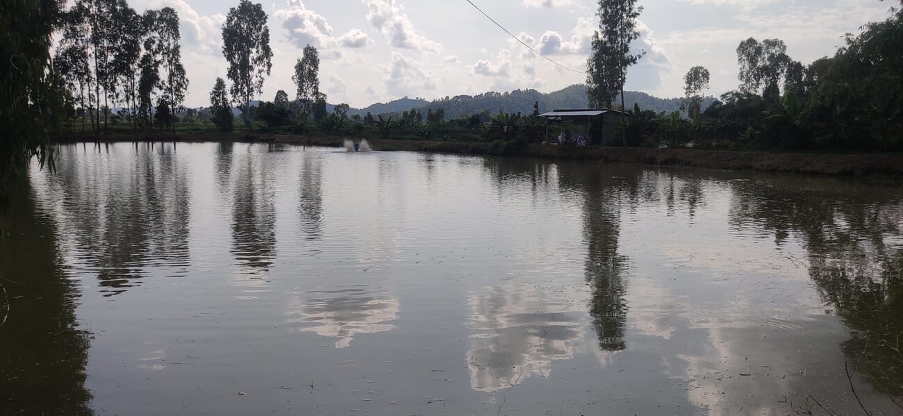 Incentivising carp aquaculture in Manipur | The Fish Site
