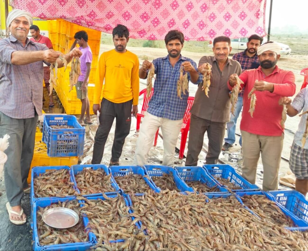Can India’s landlocked shrimp farmers succeed? | The Fish Site