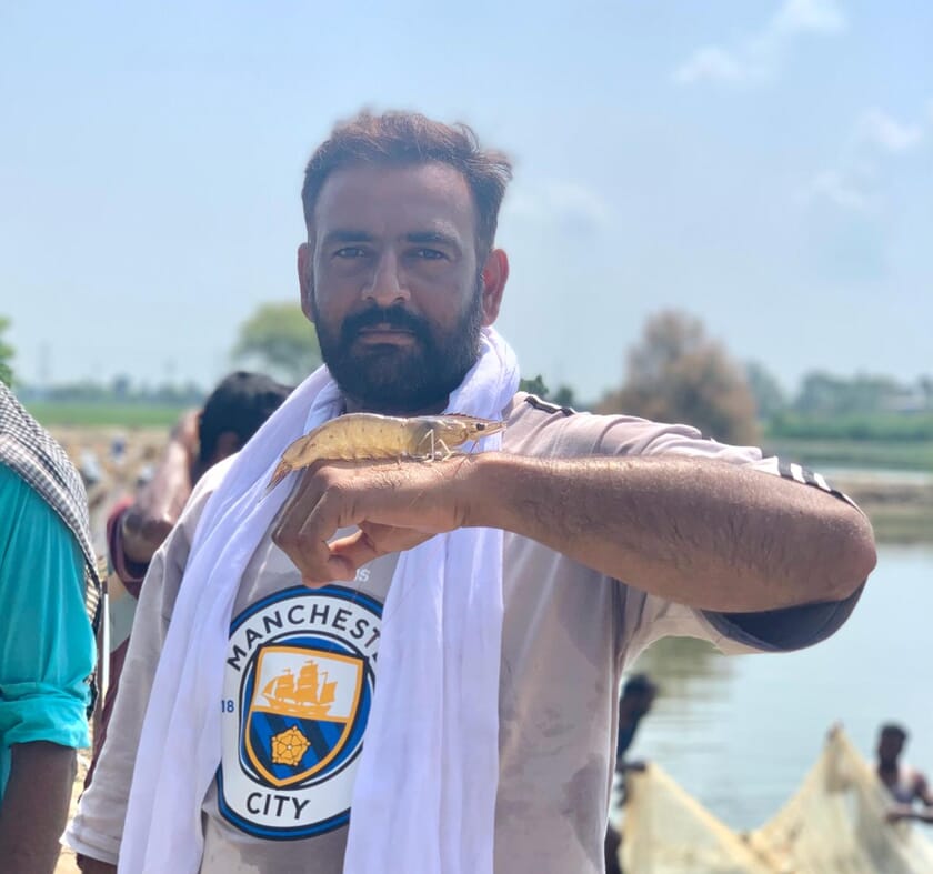 Can India’s landlocked shrimp farmers succeed? | The Fish Site