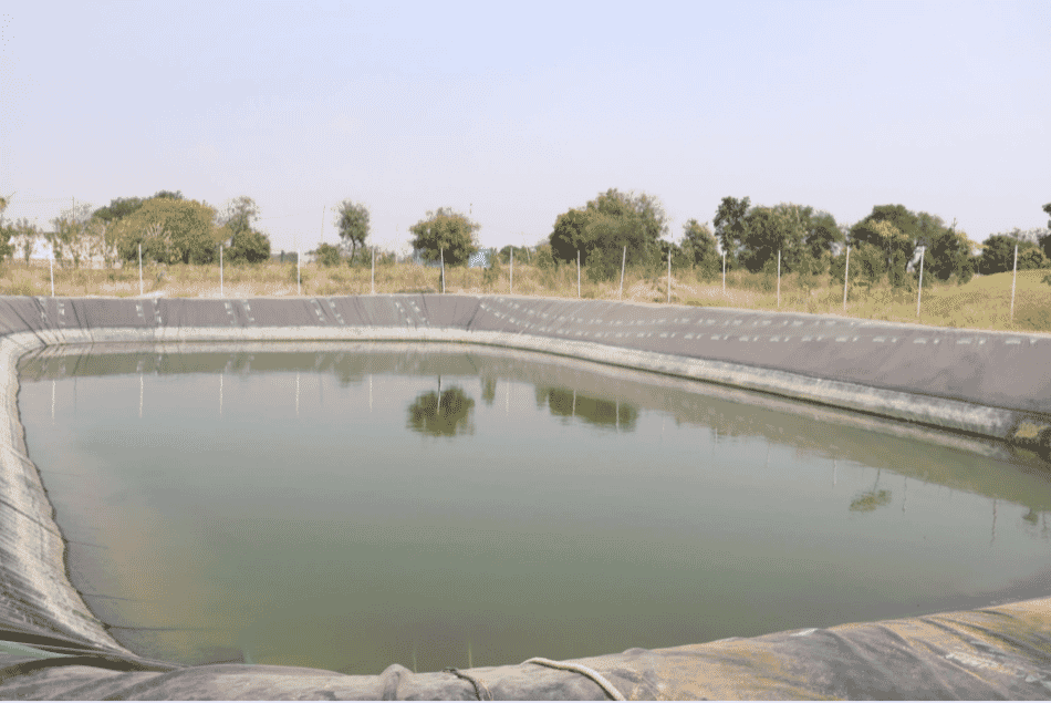 A breakthrough for pangasius welfare in India | The Fish Site