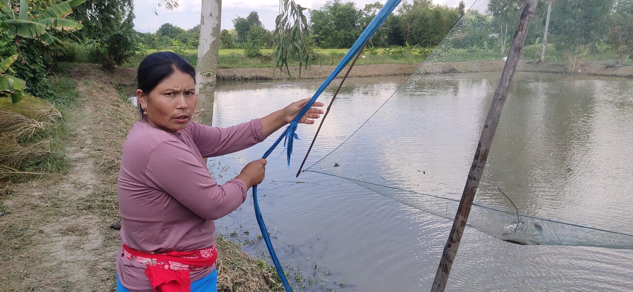 Incentivising carp aquaculture in Manipur | The Fish Site