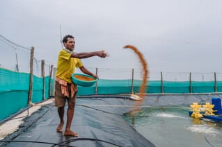 Scaling up the adoption of technology in Indian aquaculture | The Fish Site