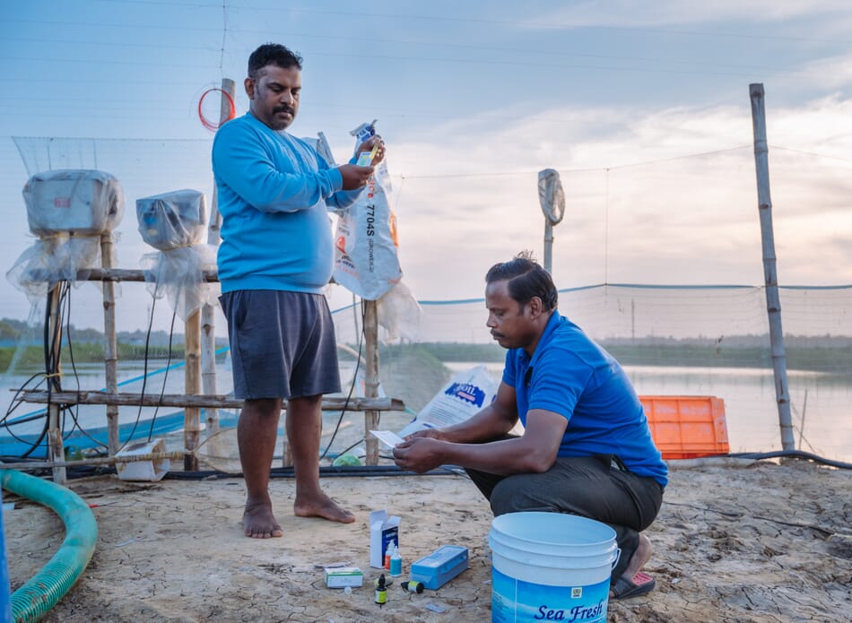 Scaling up the adoption of technology in Indian aquaculture | The Fish Site