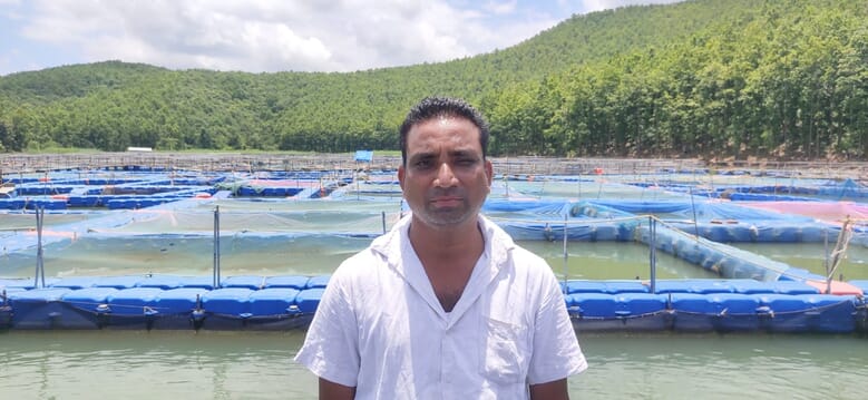 Cage farming of pangasius and tilapia proves profitable in eastern ...