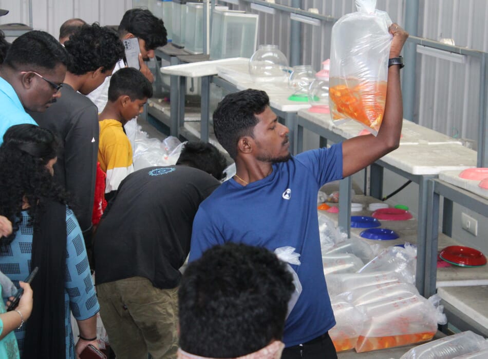New initiative revives Kerala's ornamental fish sector | The Fish Site