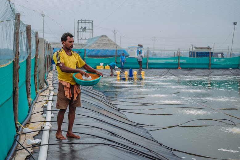 Smart aquaculture: technological intervention is vital for a ...