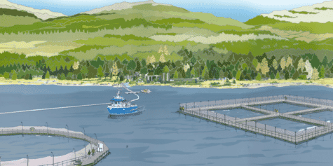 National Park seeks to block semi-closed containment salmon farm | The ...