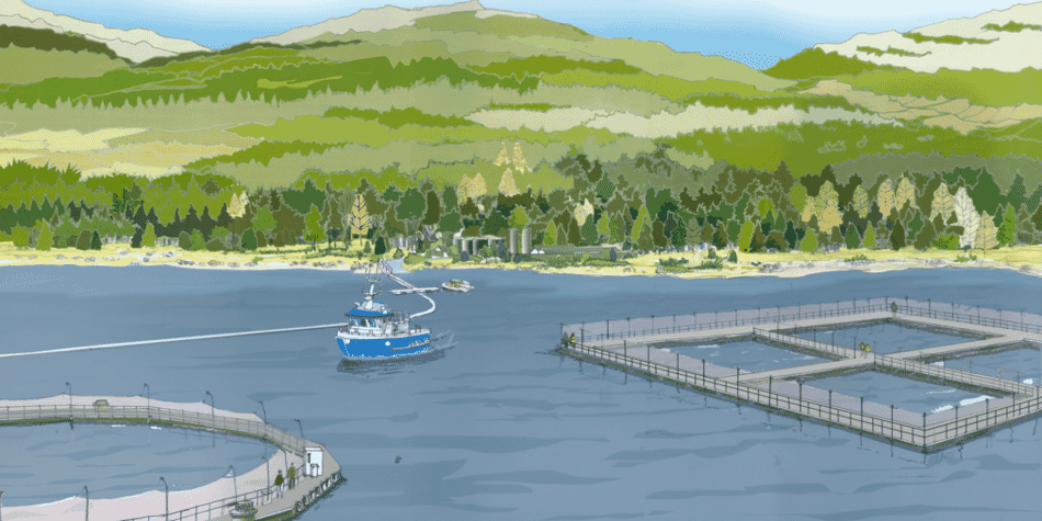National Park seeks to block semi-closed containment salmon farm | The ...