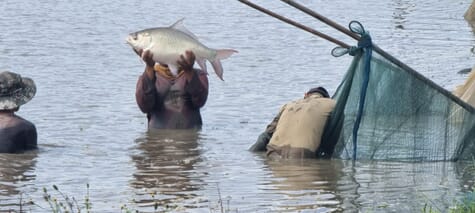 Meet the ﻿farmer: Chabungbam Bijoy Singh | The Fish Site