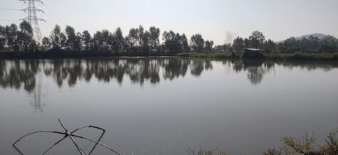 Meet the ﻿farmer: Chabungbam Bijoy Singh | The Fish Site