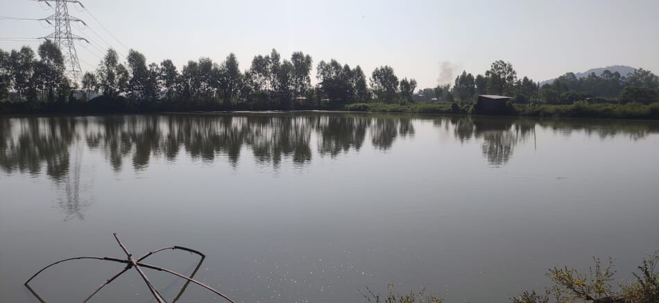 Meet the ﻿farmer: Chabungbam Bijoy Singh | The Fish Site