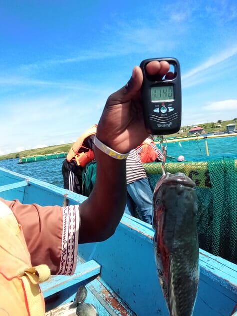 Helping to generate East African aquaculture success | The Fish Site