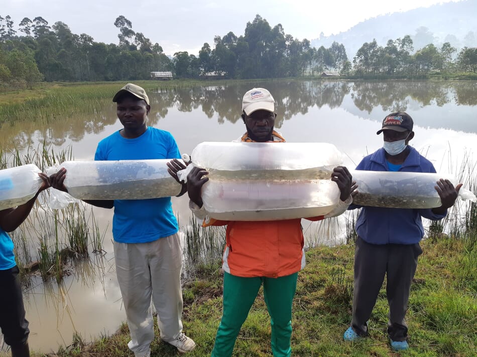 Helping to generate East African aquaculture success | The Fish Site