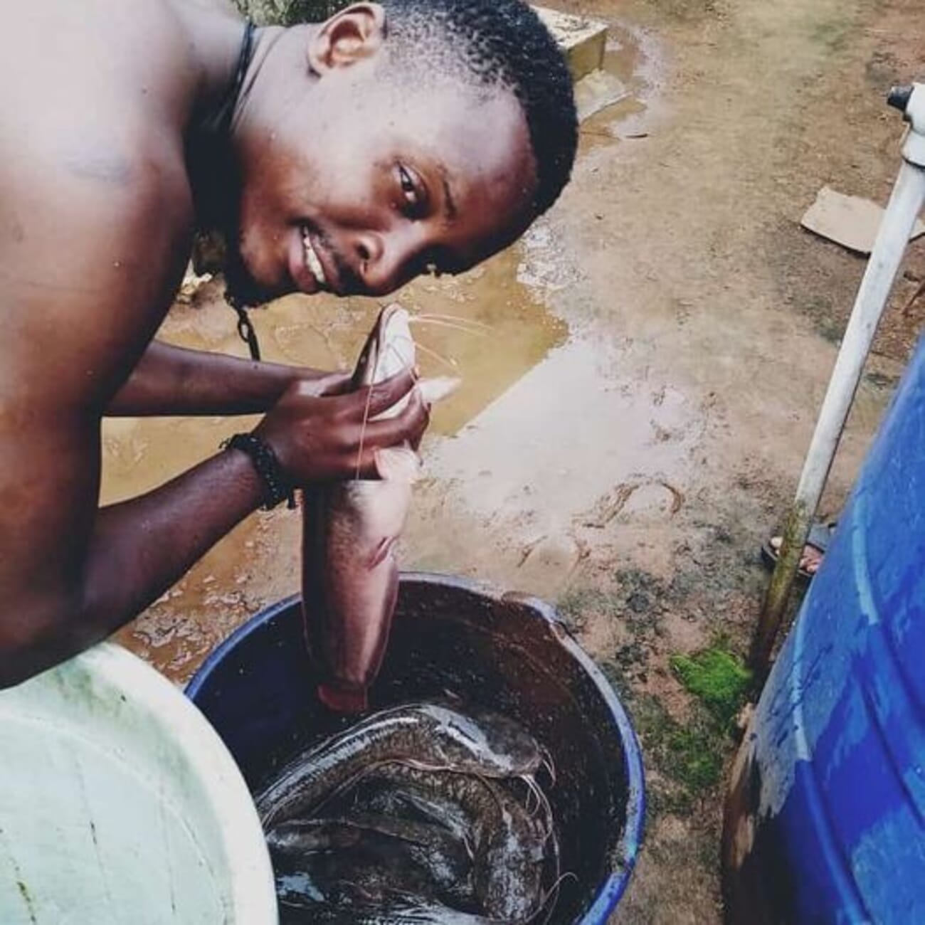 Meet the farmer: Kenechukwu Nwobodo | The Fish Site