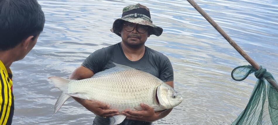 Meet the farmer: Soibam Surchandra Singh | The Fish Site
