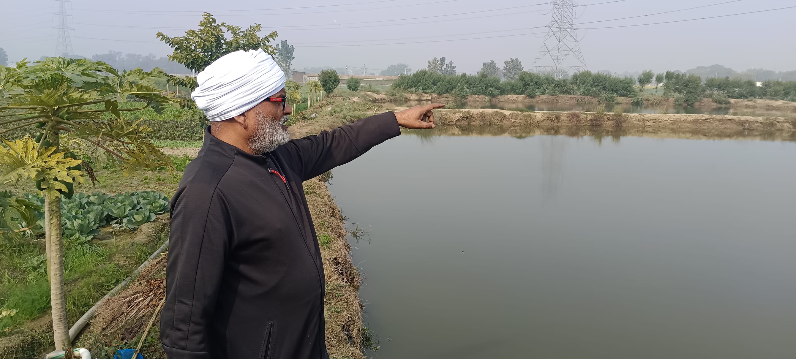 A switch to carp farming proves successful in Uttar Pradesh | The Fish Site