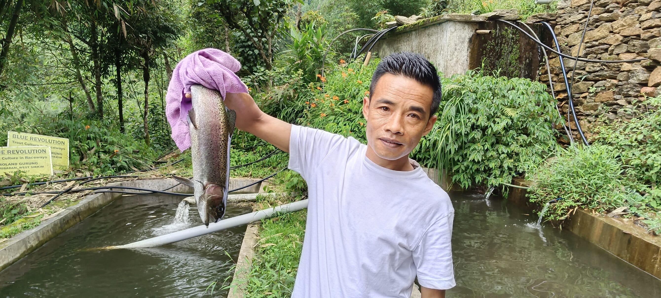 From taxi driver to trout supremo | The Fish Site