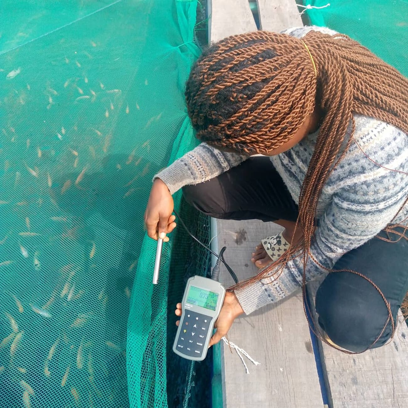 Meet Nigeria's cage-based tilapia champion | The Fish Site