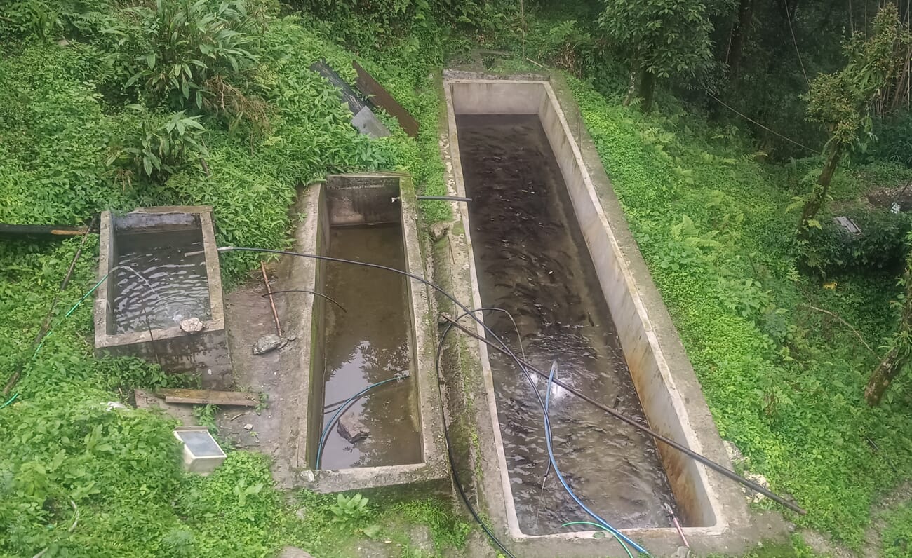 Reaping the rewards of a move from agri- to aqua-culture | The Fish Site