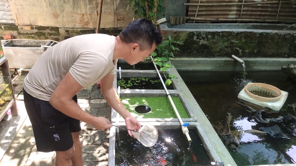 Meet the farmer: Yarangjang Imchen | The Fish Site