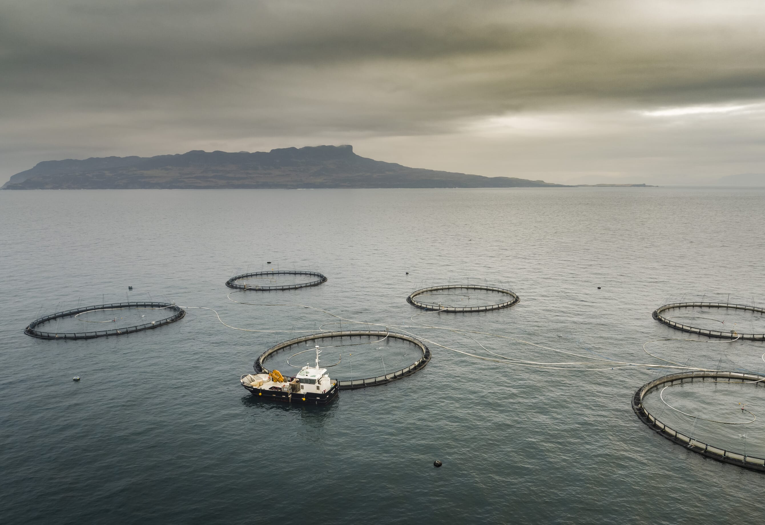 The search for a site manager’s successor on Muck | The Fish Site